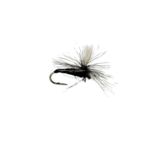 The Top 10 Flies for Fall in Colorado: What Trout See When the Leaves ...
