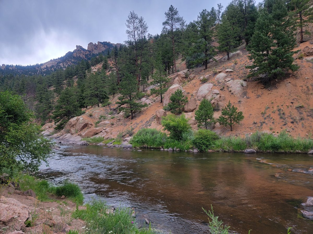 Rise Beyond Fly Fishing Company | Fly Fishing Shop in Denver, Colorado