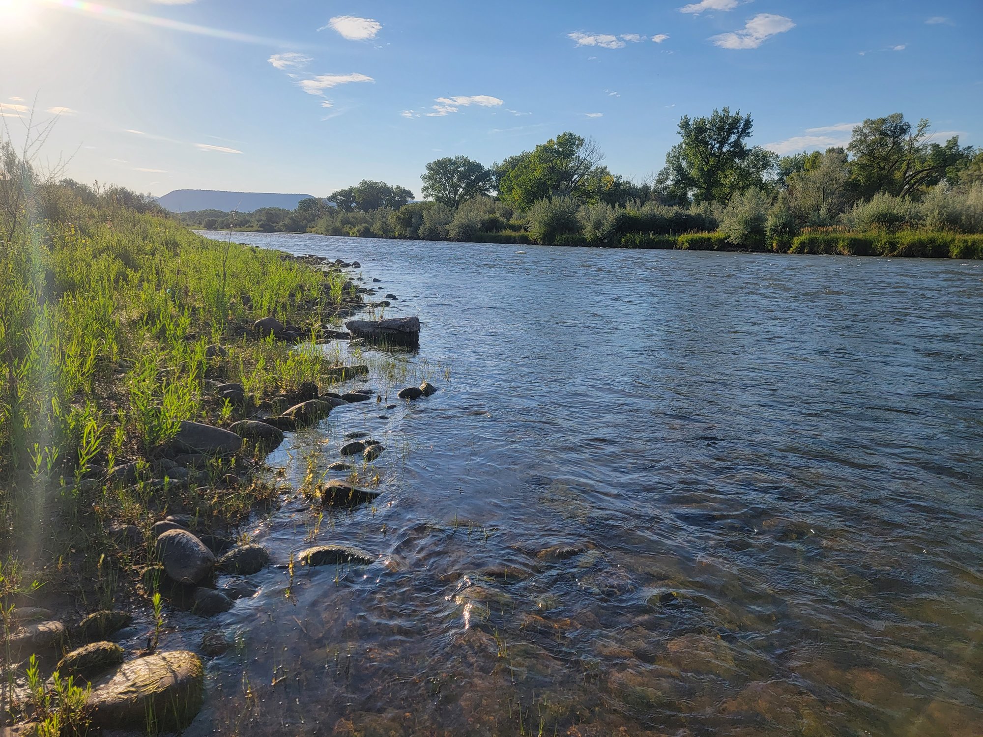 Rise Beyond Fly Fishing Company | Fly Fishing Shop in Denver, Colorado