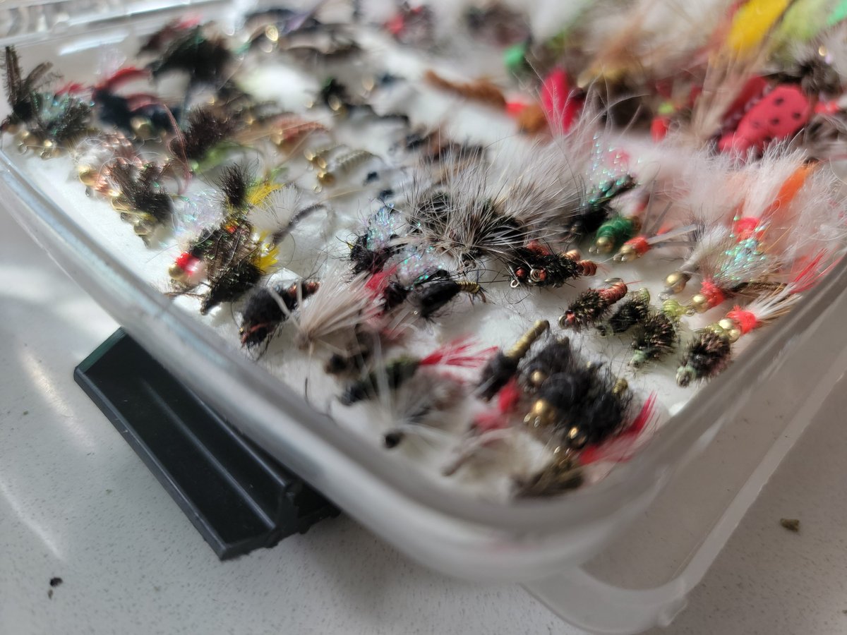 Rise Beyond Fly Fishing Company | Fly Fishing Shop in Denver, Colorado