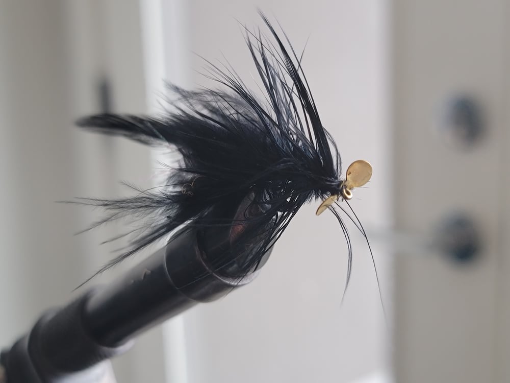 Top 5 Spring Fly Patterns for Successful Fly Fishing in Colorado 2025