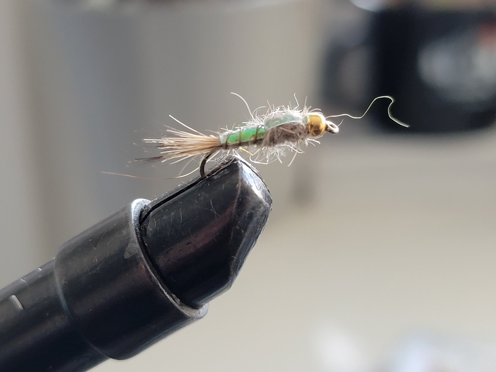 Top Spring Nymphs for Colorado Fishing