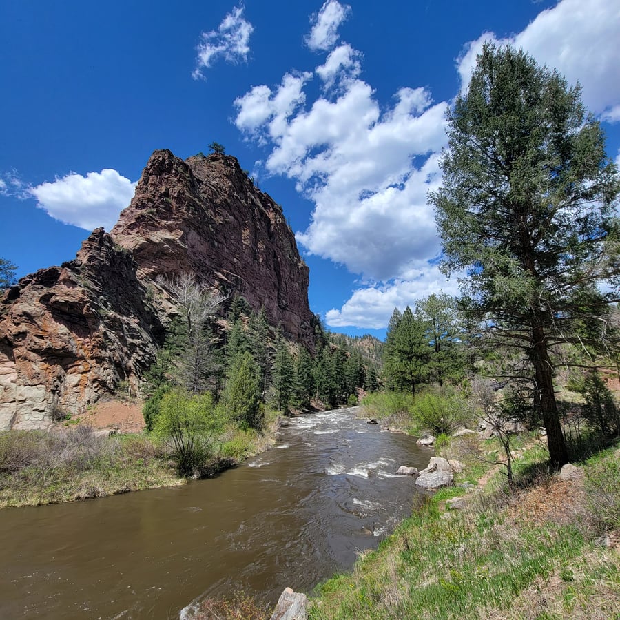 Beginner's Guide to Fly Fishing Techniques