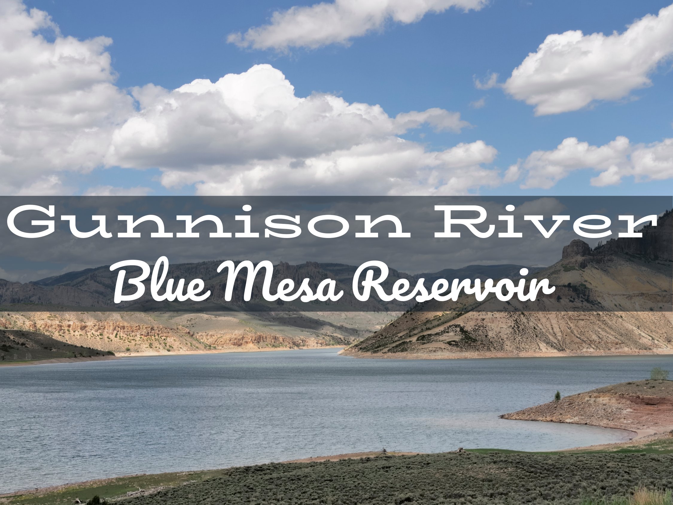 Gunnison River Fly Fishing Report | Winter Conditions from Almont to Delta