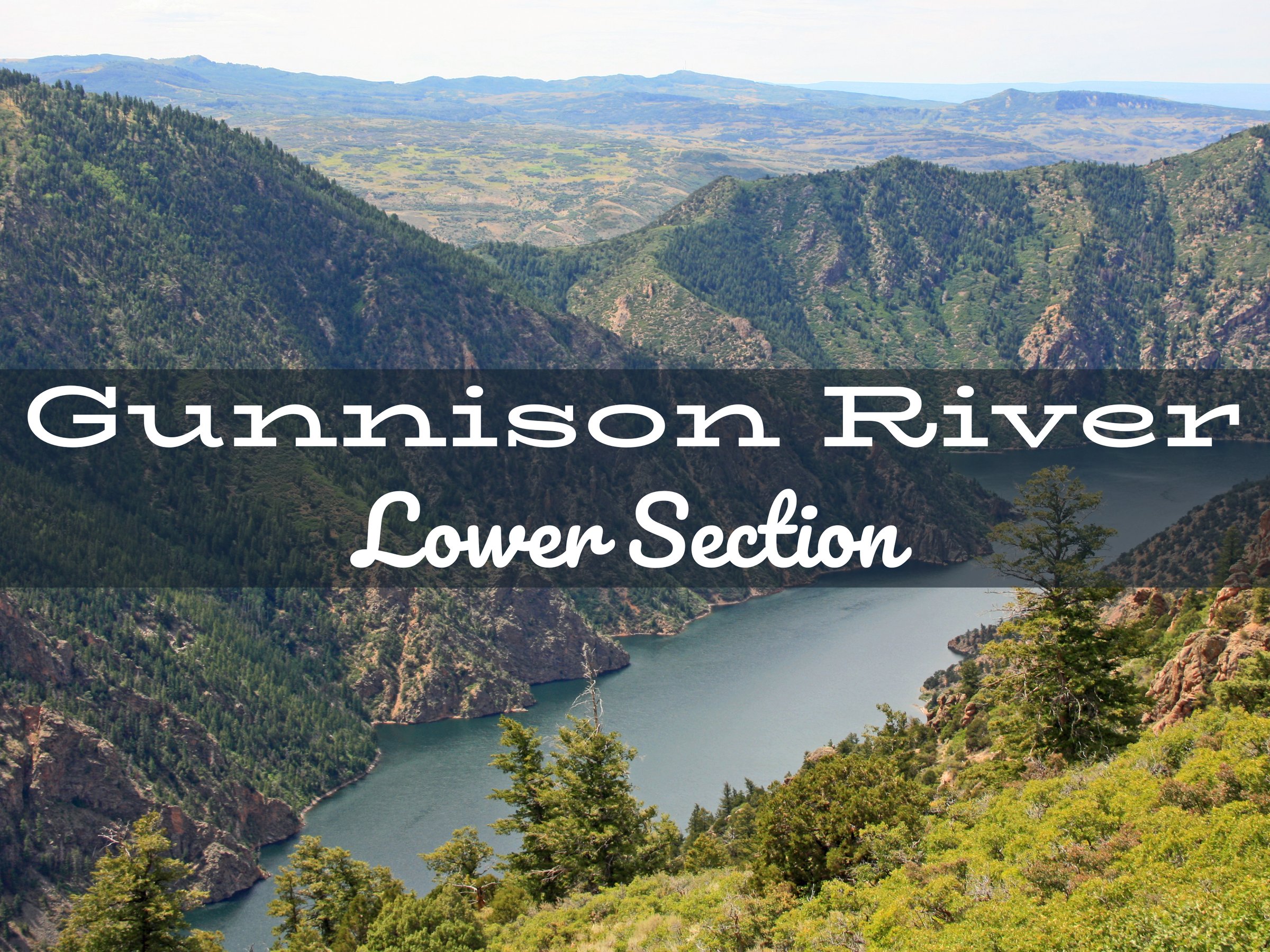 Gunnison River Fly Fishing Report | You One Window in Feb - Pick the ...