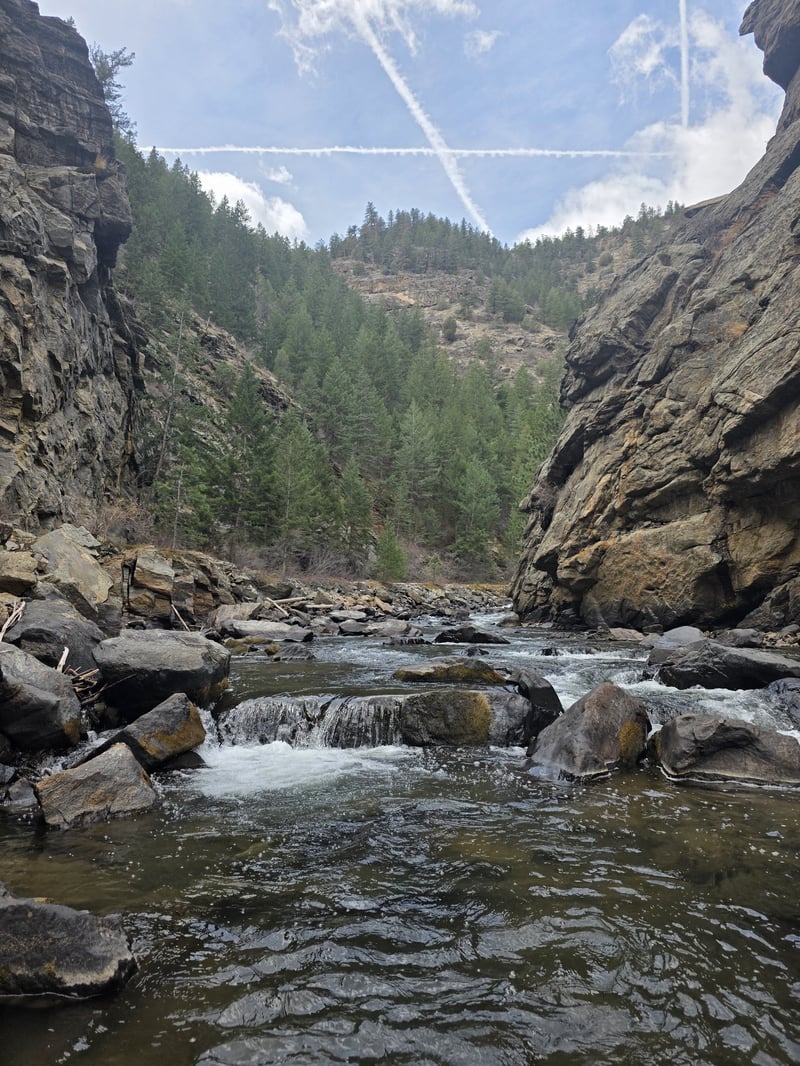 Best Dry Dropper Rigs for Clear Creek, Colorado: Top Flies and Expert ...