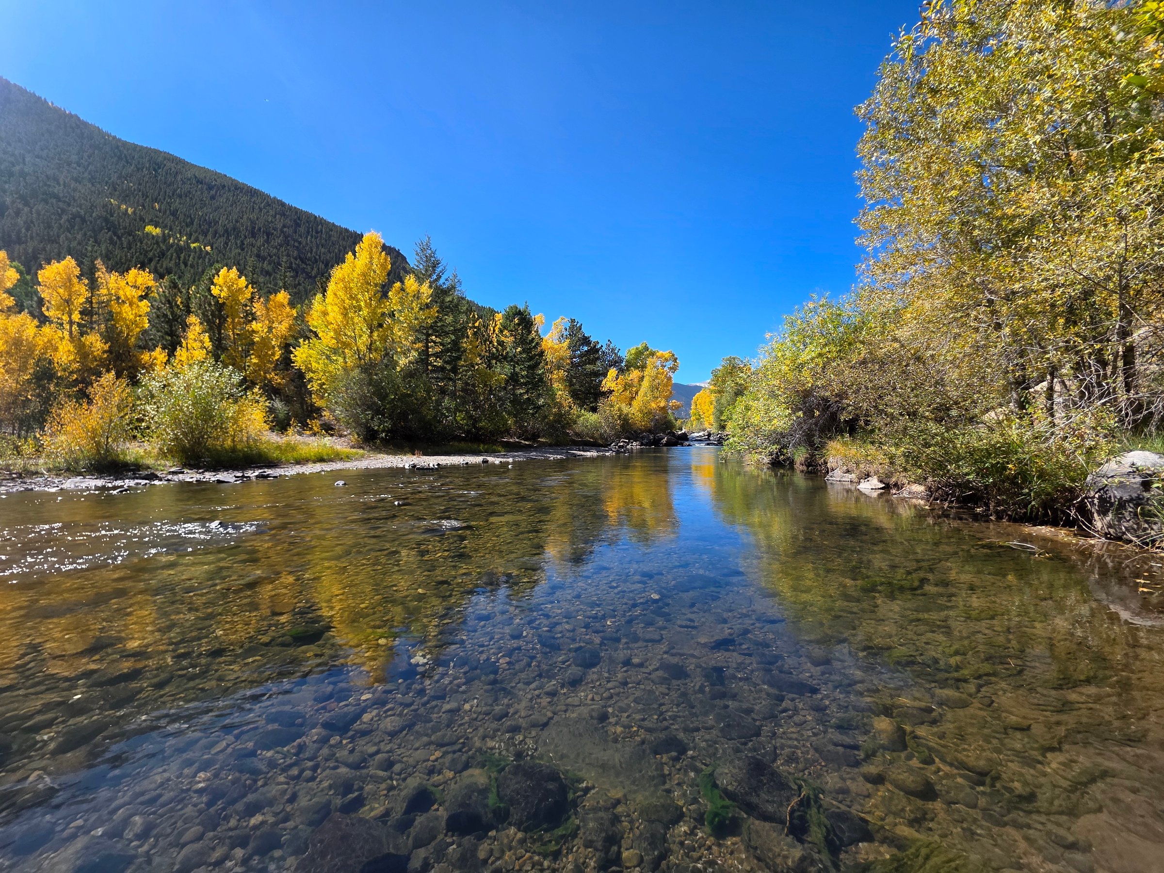 Clear Creek Fly Fishing Report (Sept 29, 2025) – Trico Frenzy & Pocket-Water Playbook