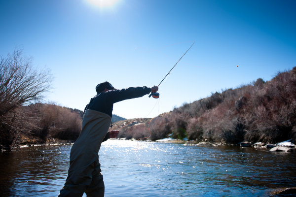 The Best Fly Fishing in Colorado Today (Yes, Right Now) 4/24/25 (Clone)