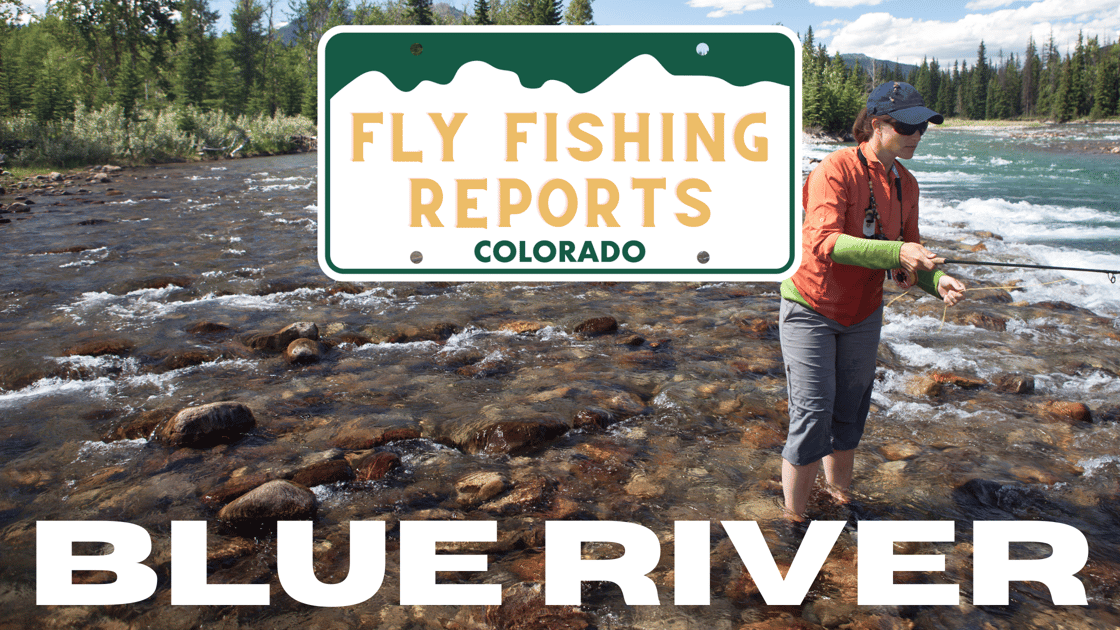 Prime Fly Fishing Spots Near Silverthorne & Fly Selection Guide
