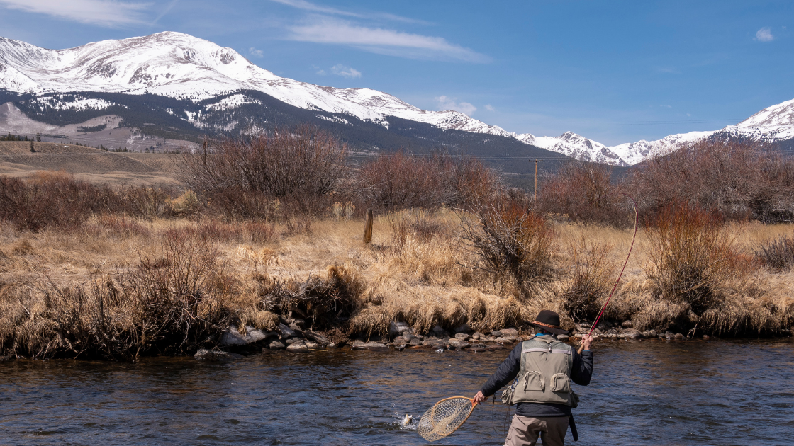 Fly Fishing in Colorado: Top Spots, Tips, and Essential Gear
