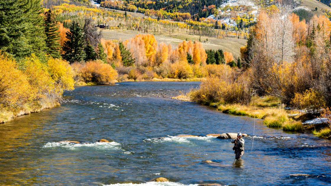 Best Time of Year to Fish in Colorado: Seasonal Fishing Guide