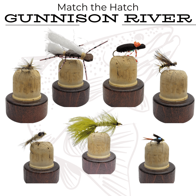 Best Flys for Targeting Trout in Gunnison River
