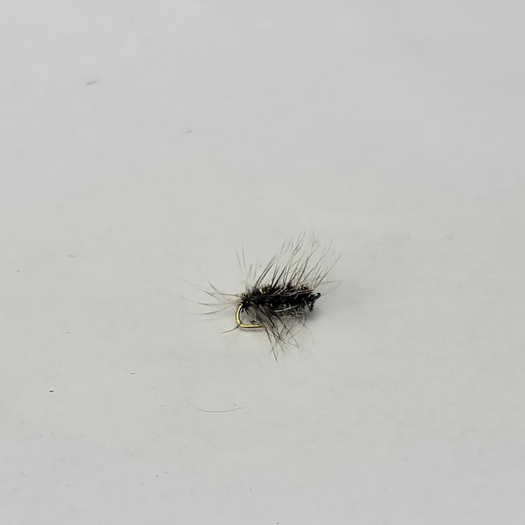 Top 5 Fly Patterns for High Alpine Lakes in Colorado