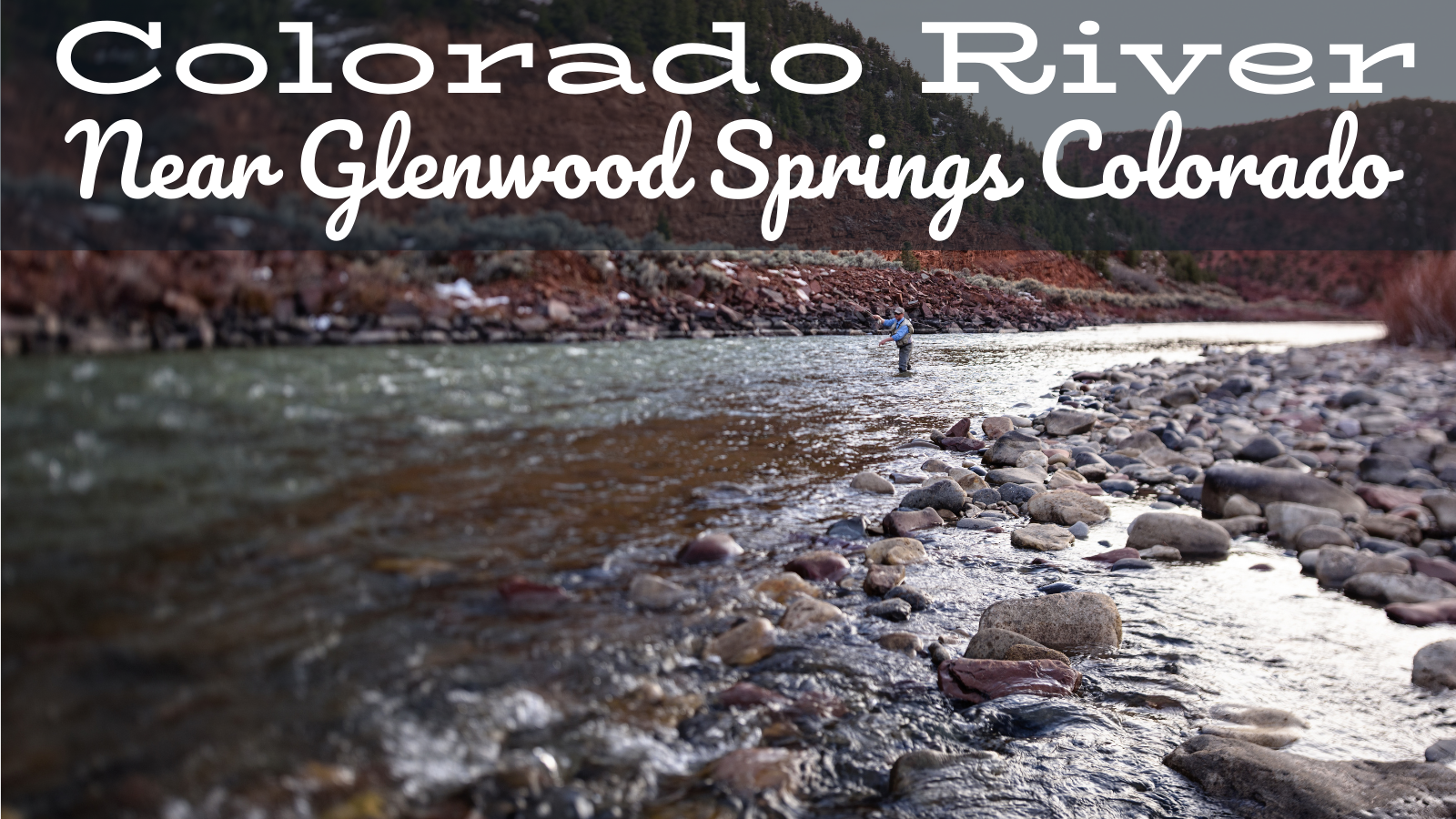 Colorado River Fly Fishing Report – Middle Colorado 12/3/25