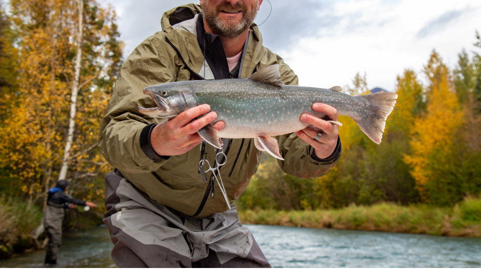 Top 7 Fly Fishing Spots in Colorado Right Now - Summer 2025 Guide