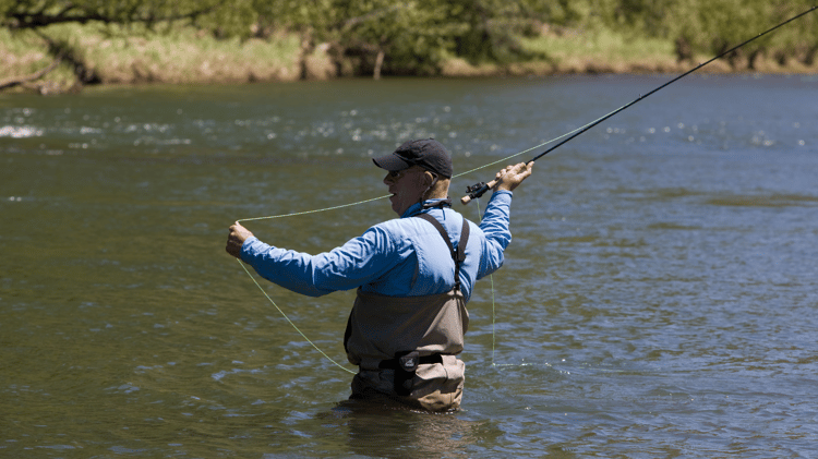 Basic Fly Casting Techniques: Step-by-step Instructions for New Anglers