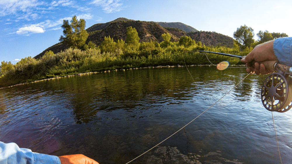 Basic Fly Casting Techniques: Step-by-step Instructions for New Anglers