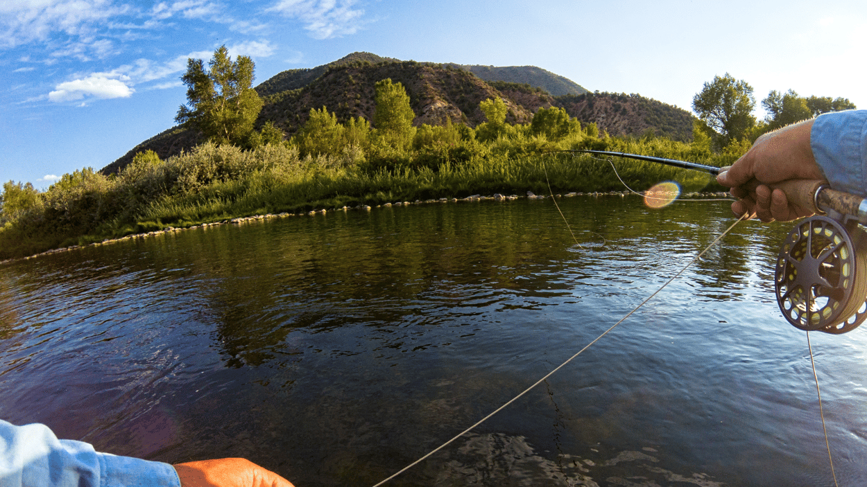 Basic Fly Casting Techniques: Step-by-step Instructions for New Anglers