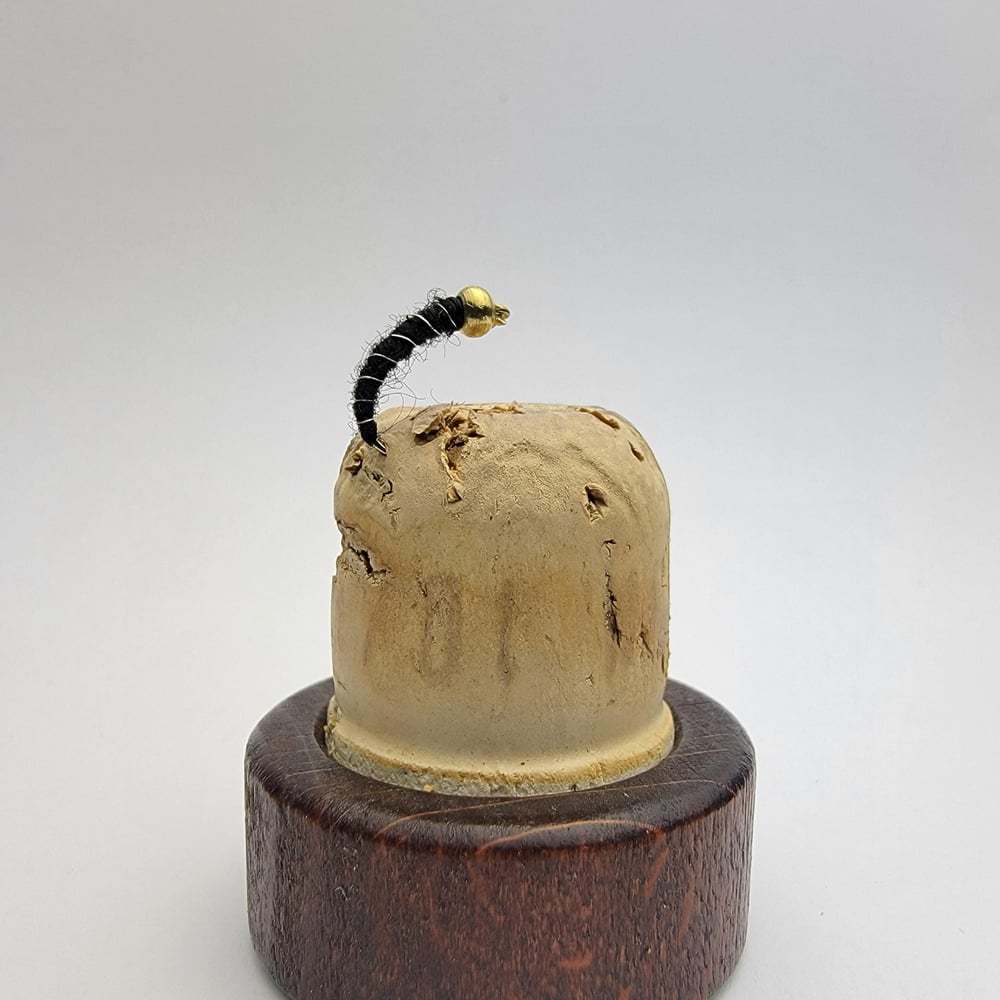 Best Flies for Spring Fly Fishing on the South Platte in Colorado