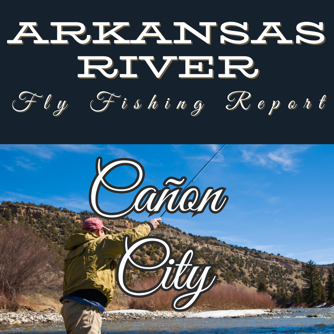 Arkansas River Report – Cañon City (Sept 23, 2025): Tricos & BWOs in ...