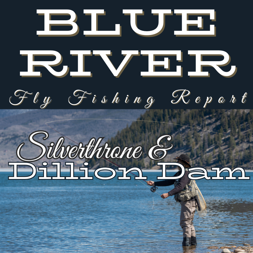 Blue River at Dillon Dam Fly Fishing Report 1/7/25