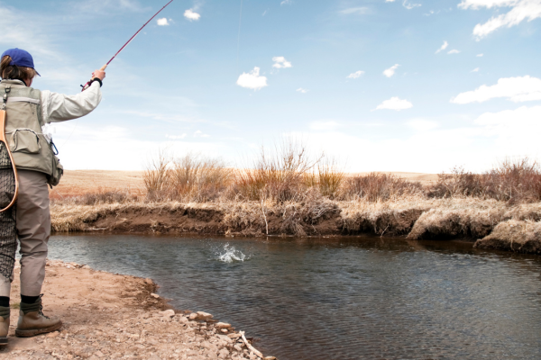 Fishing Report: South Platte River at Tomahawk State Wildlife Area ...