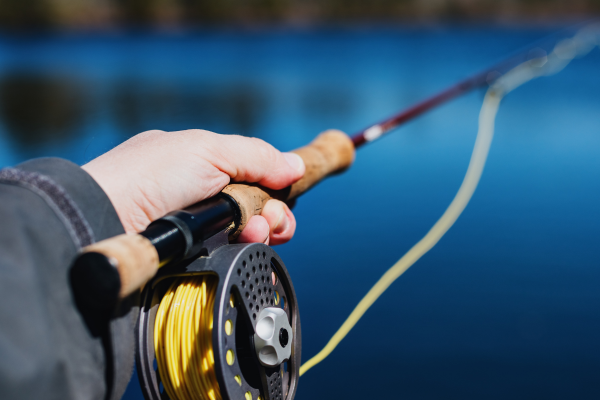 Colorado Waters: Best 8wt Fly Rod Applications