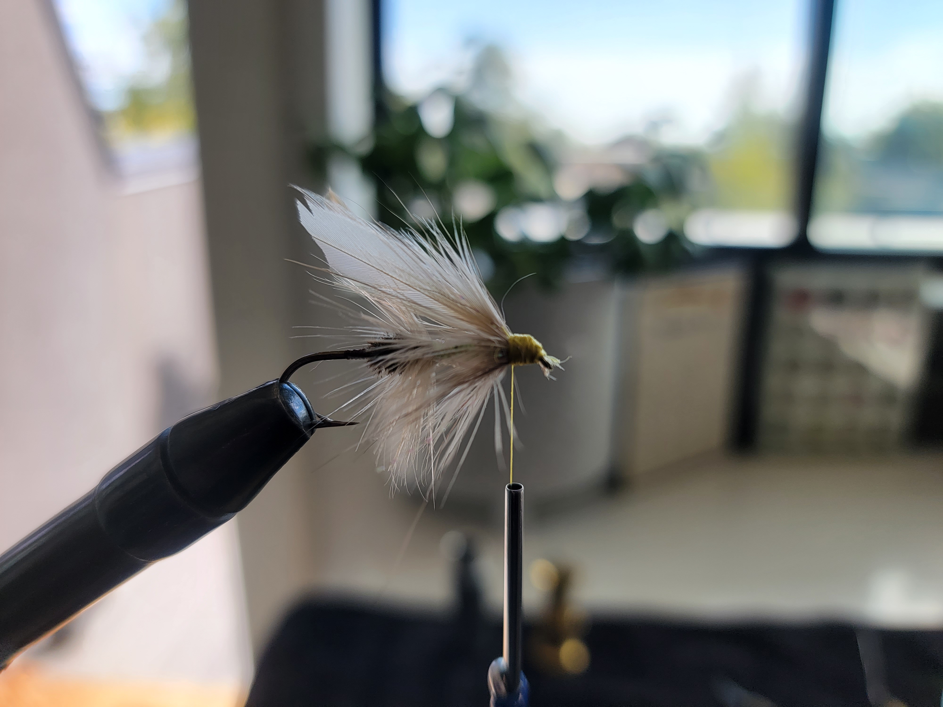 The Art of Wet Fly Fishing in Colorado: Tips and Techniques